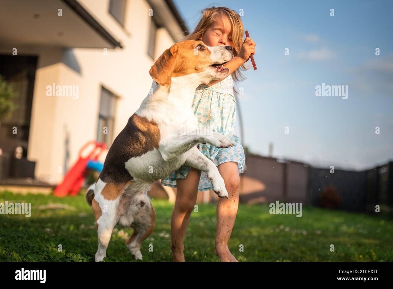 Child chasing dog hi-res stock photography and images - Alamy