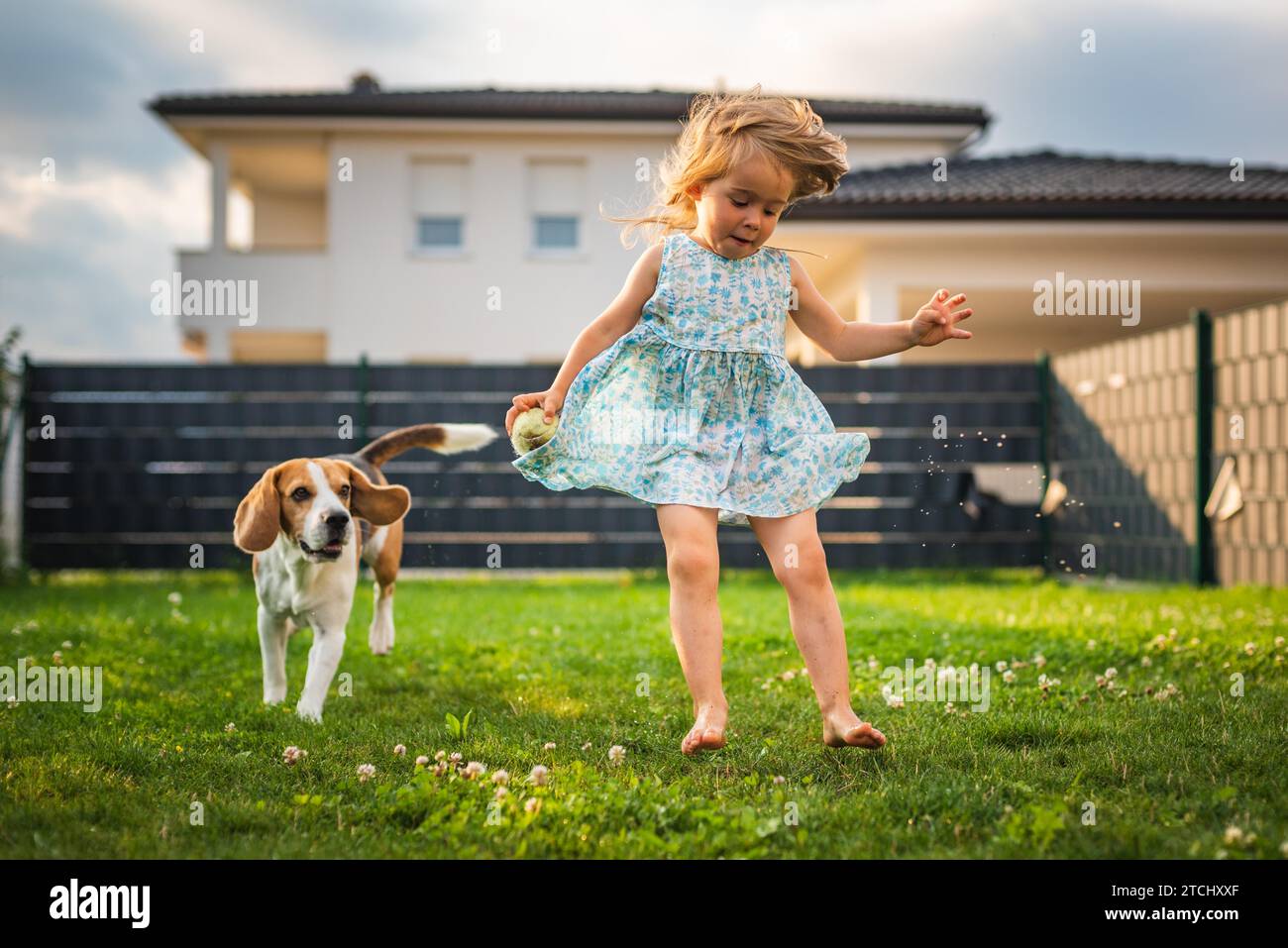 Baby girl running with beagle dog in garden on summer day. Domestic ...