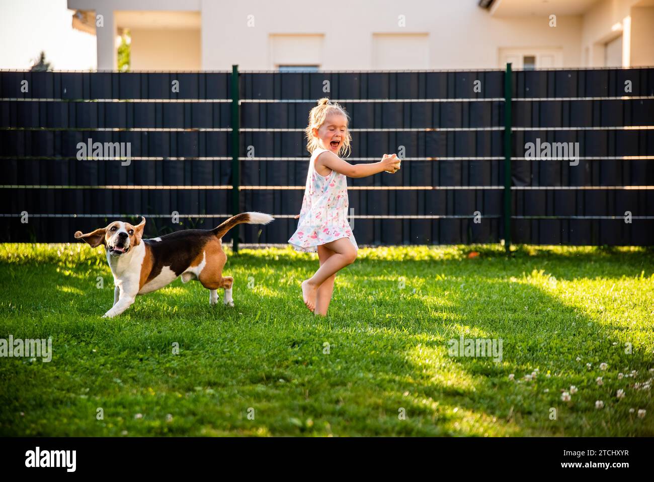 Baby girl running with beagle dog in garden on summer day. Domestic ...