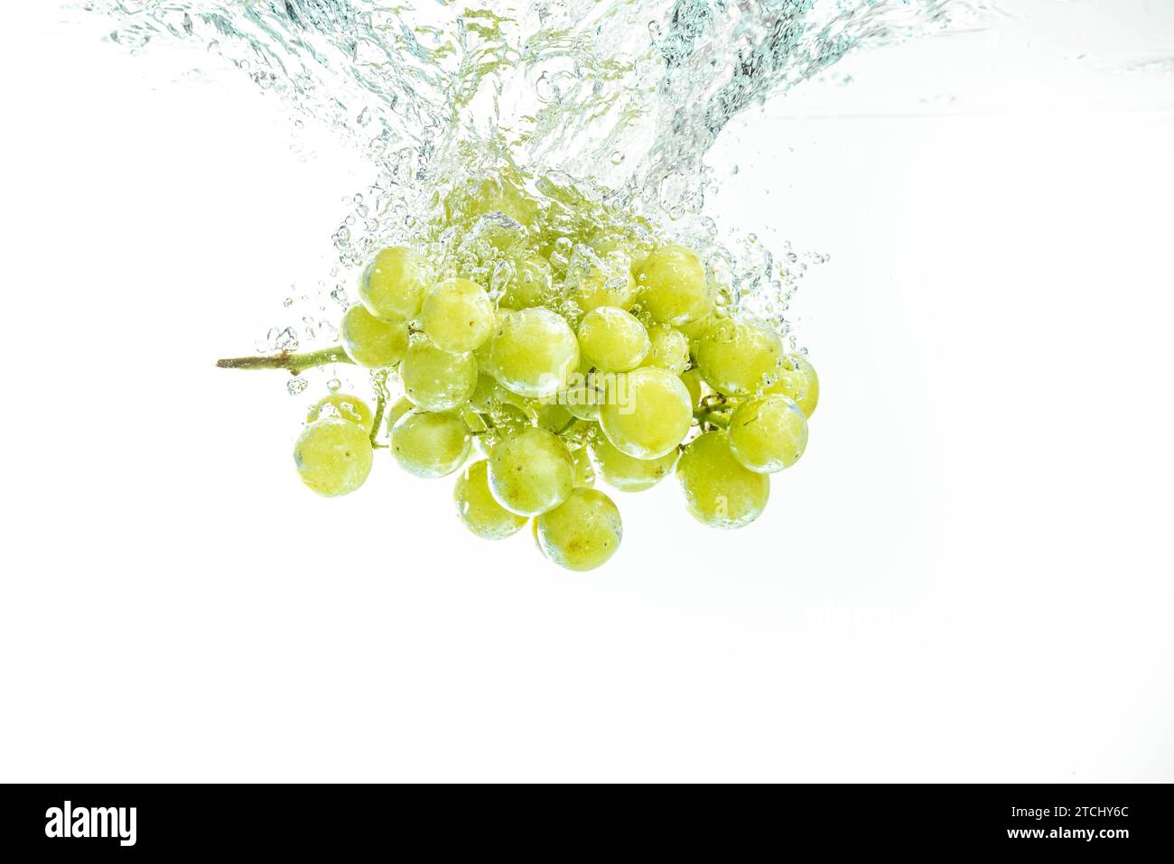 Fresh Muscat white Grapes Falling Into Water with splash Isolated on ...