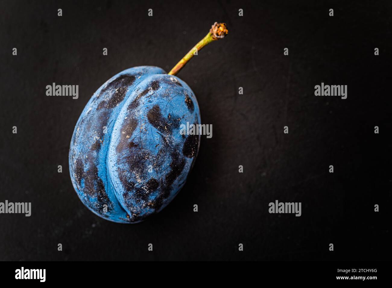 Close up of one plum fruit with copy space. Isolated background Stock ...