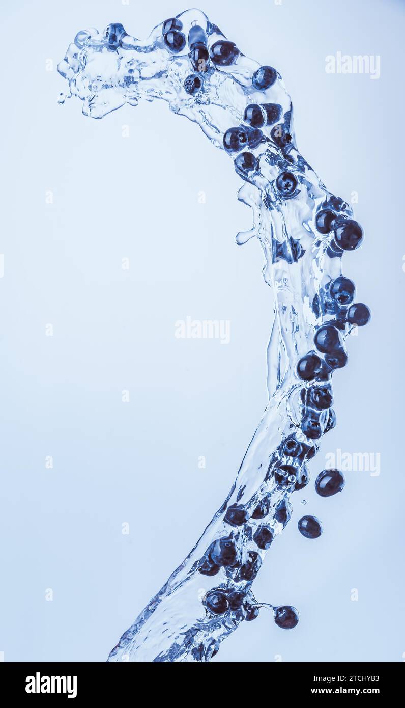 Fresh blueberries with water splash in midair, isolated on light blue ...