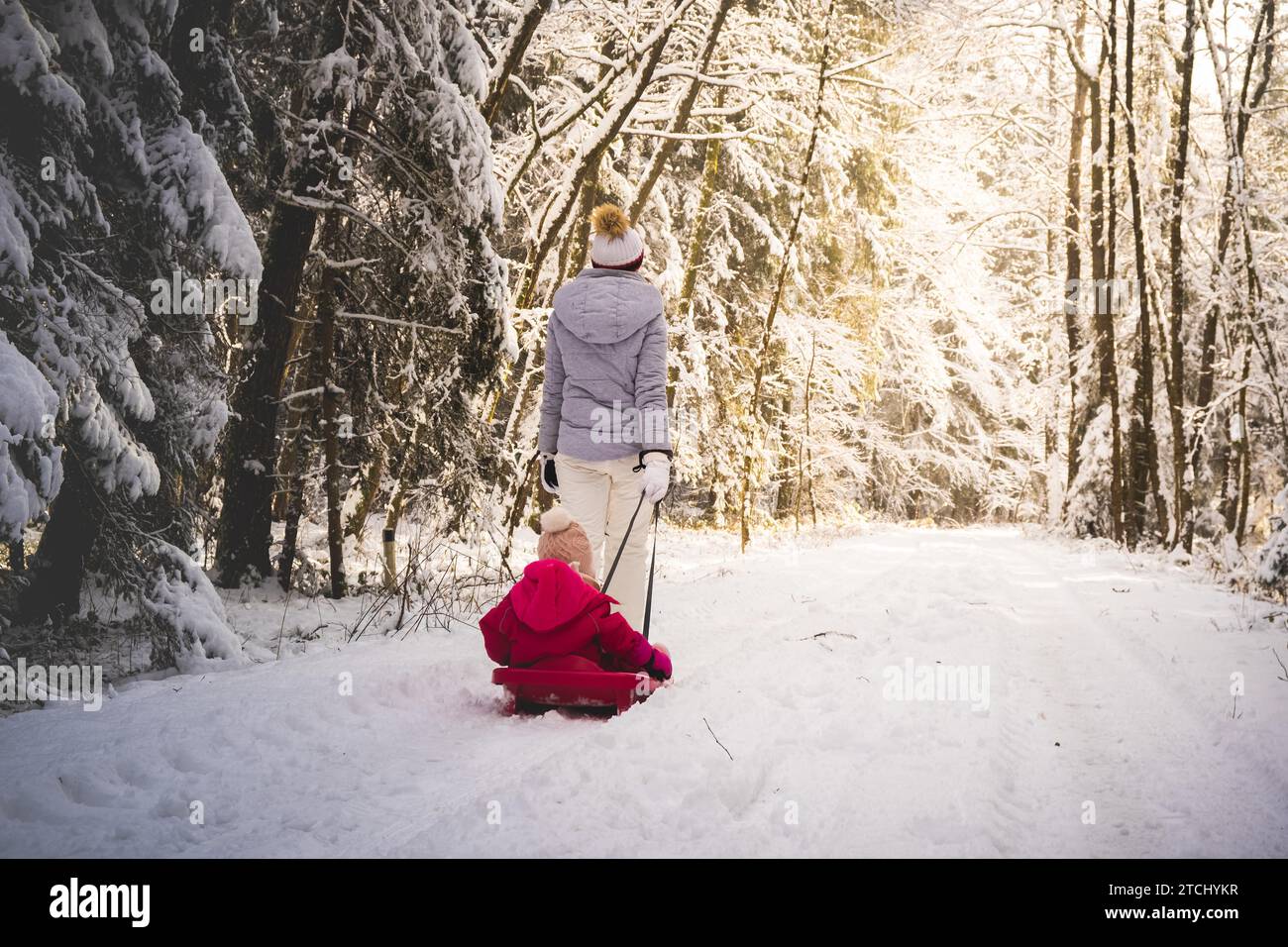 Mother pulling baby on a sled through winter forest. Snowy woods theme ...