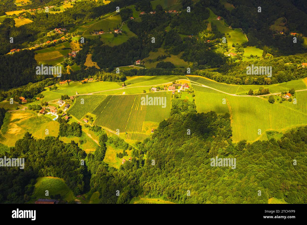 Aerial view of green hills and vineyards with mountains in background ...