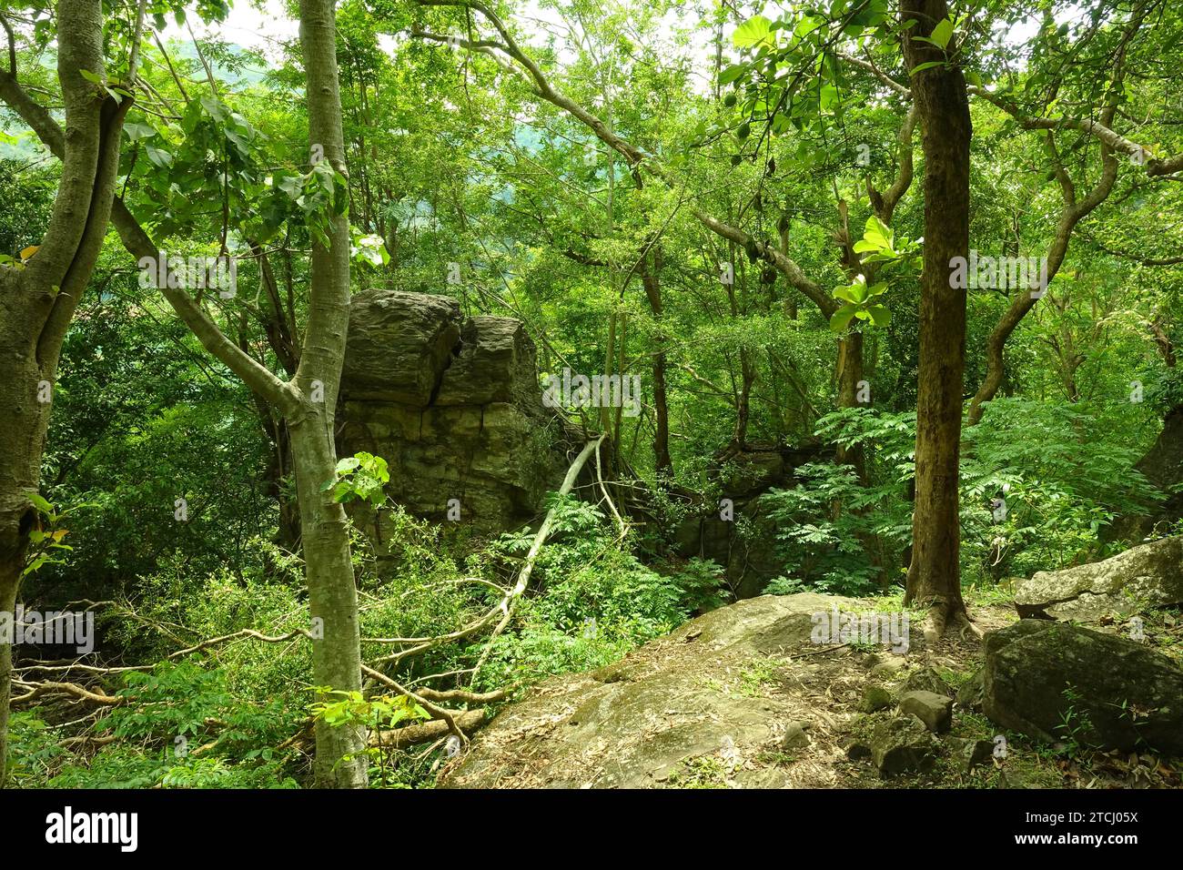 Beautiful nature location in our world Stock Photo - Alamy