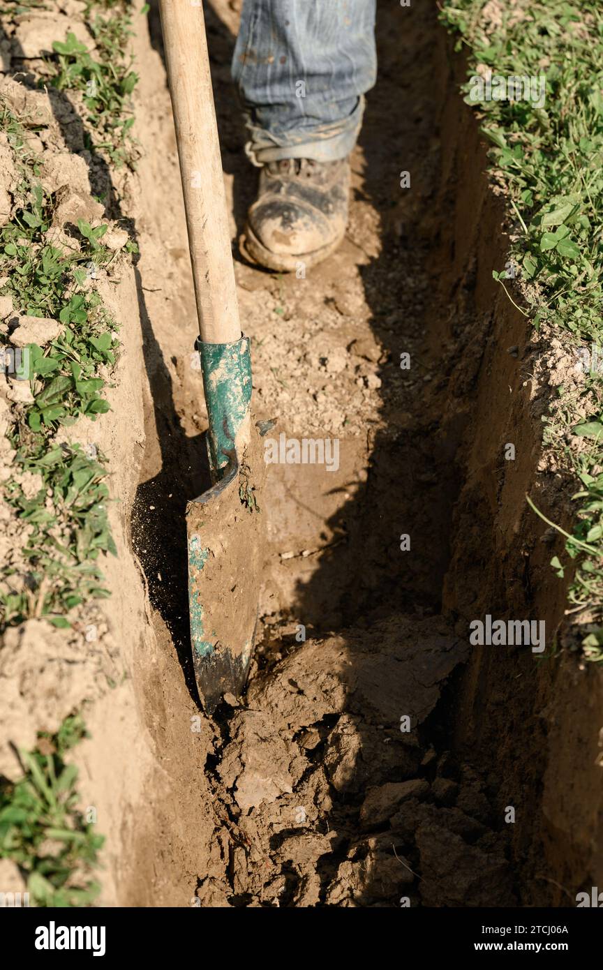 Manual worker digging sand shovel hi-res stock photography and images ...