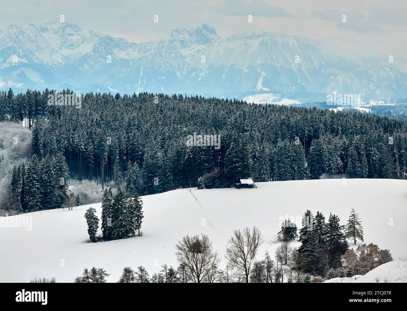 Drone photo of the Bavarian landscape with Breitenberg, in ...