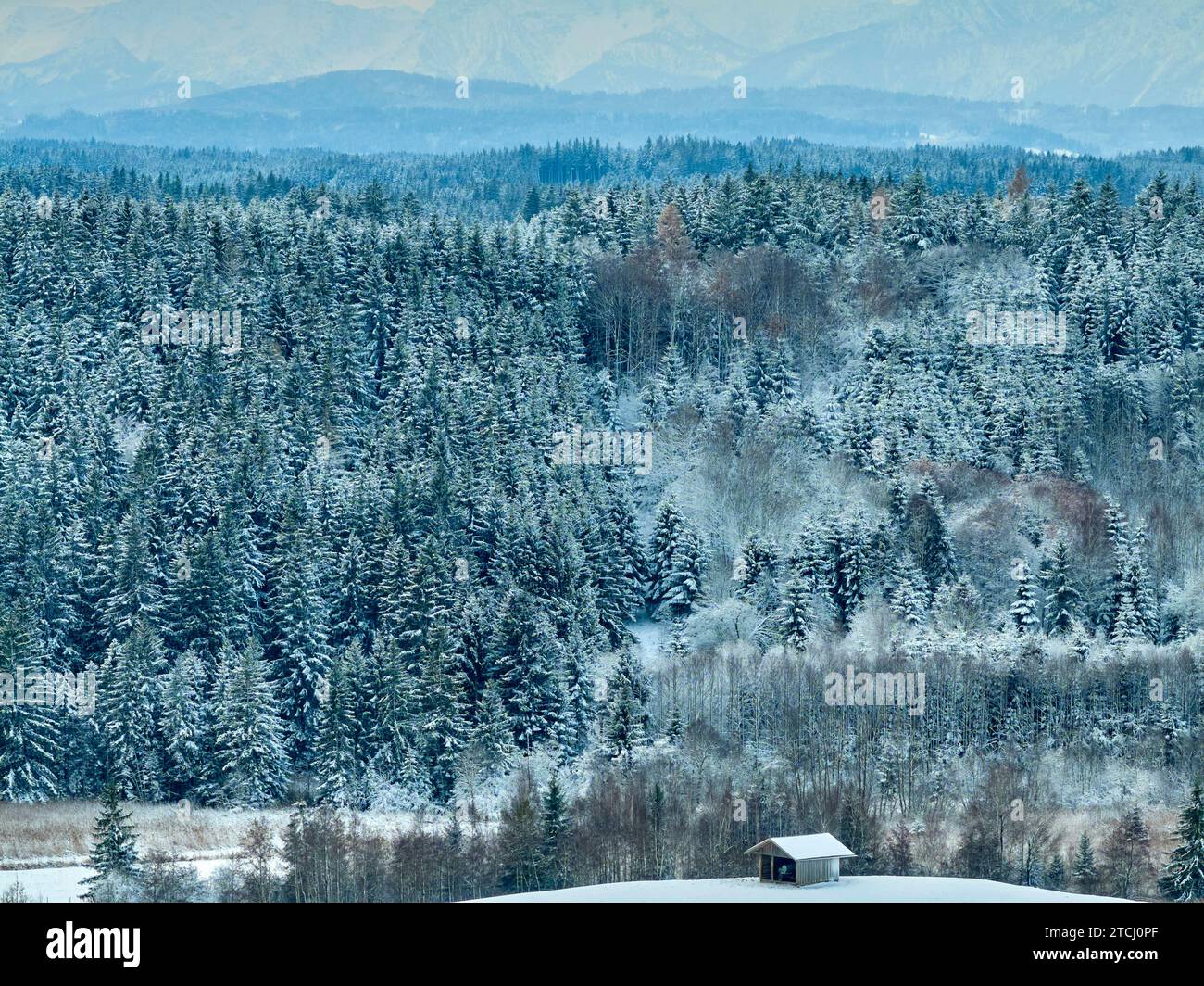 Drone photo of the Bavarian landscape in Marktoberdorf, Germany, Nov 29 ...