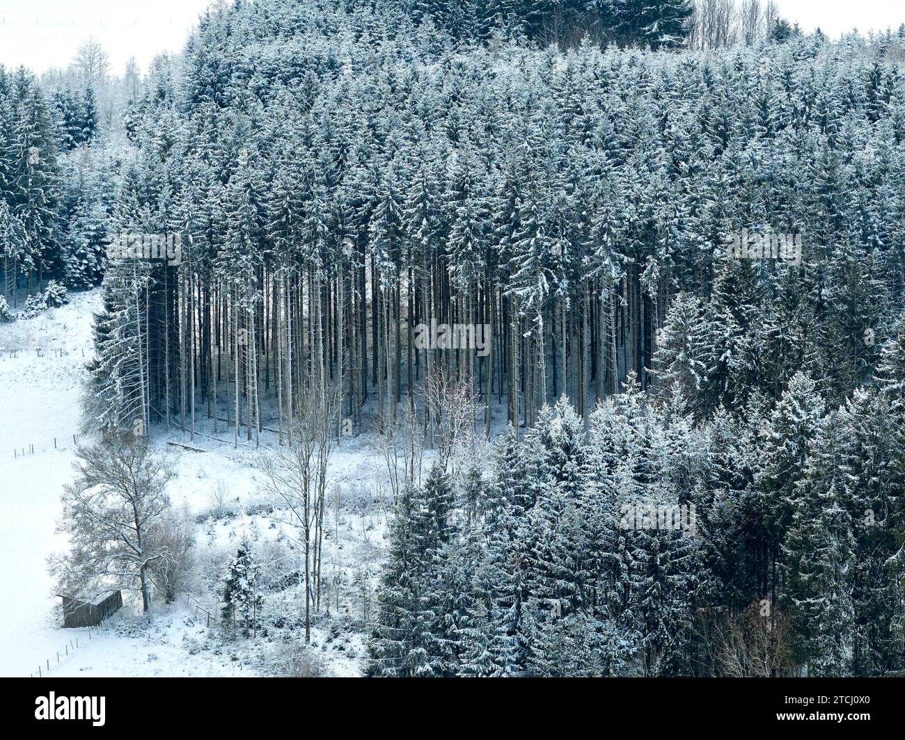 Drone photo of the Bavarian landscape in Marktoberdorf, Germany, Nov 29 ...