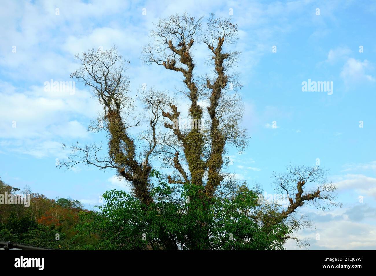 Beautiful nature location in our world Stock Photo - Alamy