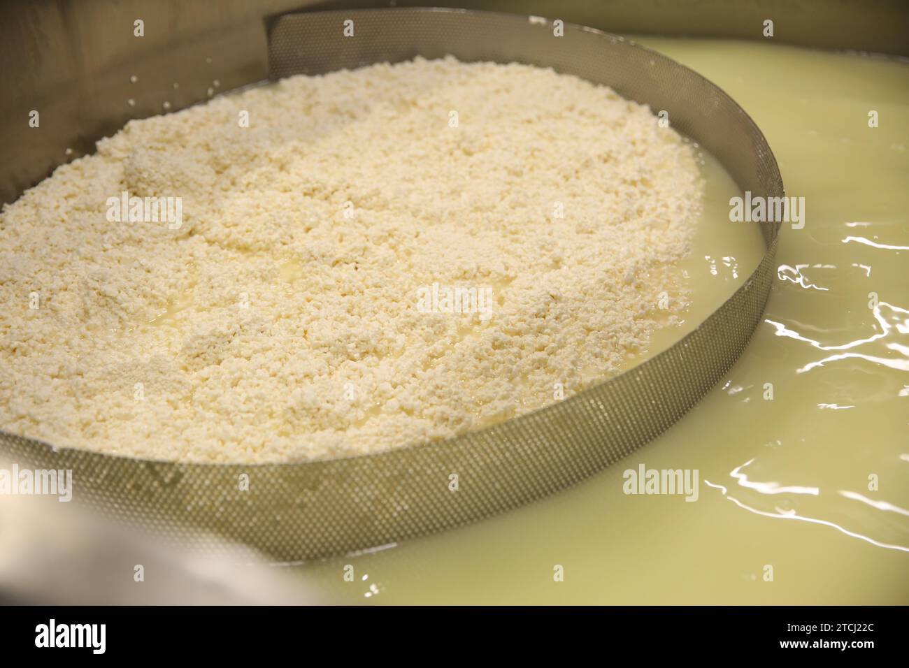 Curd separated from whey in tank at cheese factory Stock Photo - Alamy