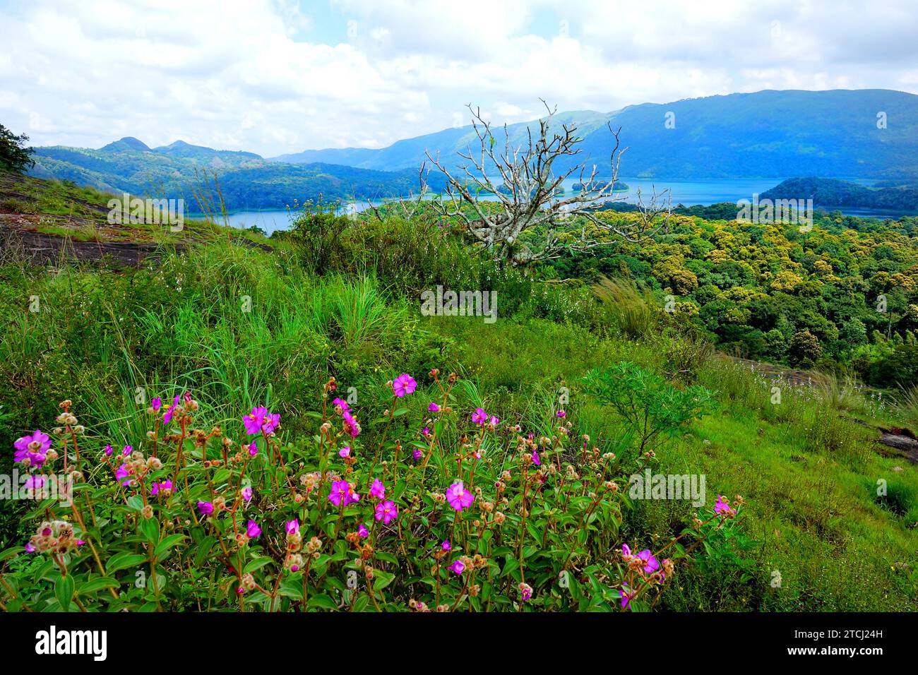 Beautiful nature location in our world Stock Photo - Alamy