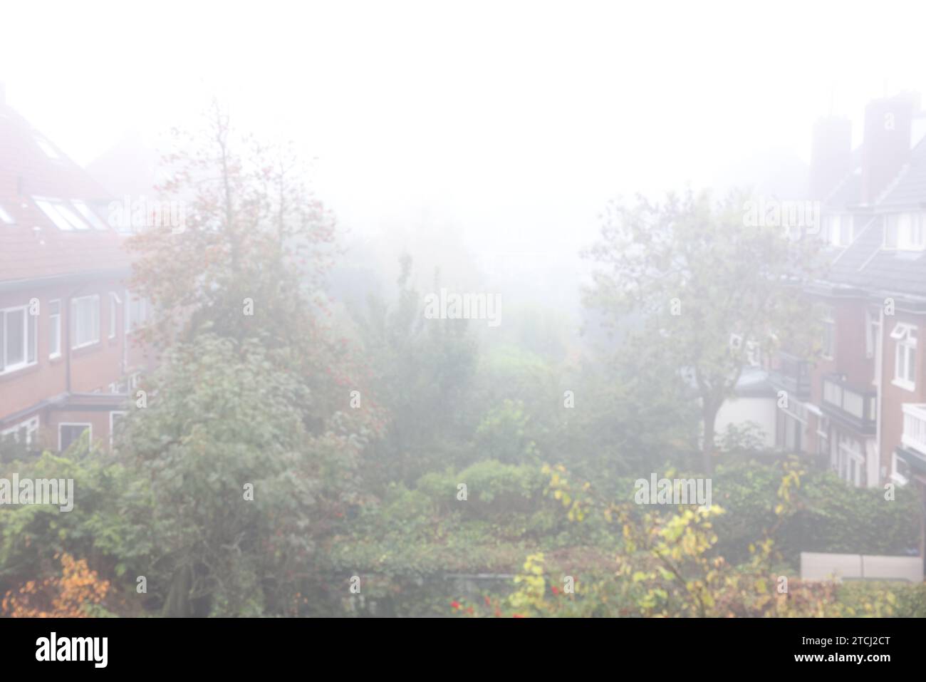 Beautiful buildings and trees in fog outdoors Stock Photo - Alamy