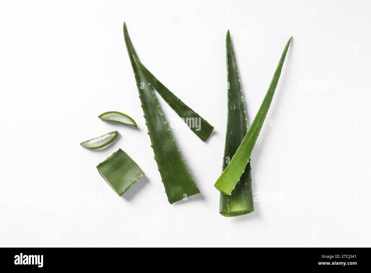 Cut aloe vera plant on white background, flat lay Stock Photo - Alamy