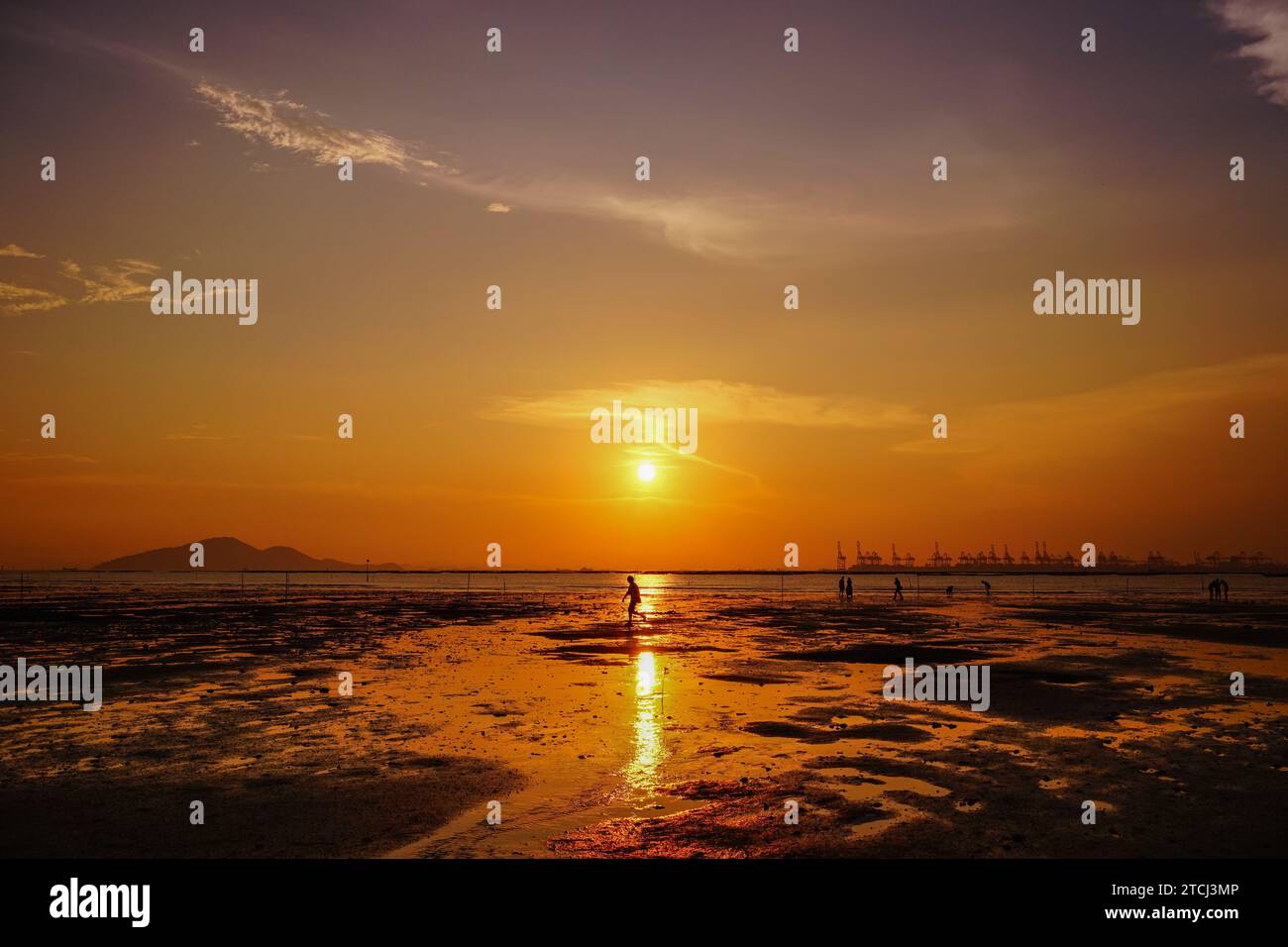 Wetland landscape at sunset hi-res stock photography and images - Alamy