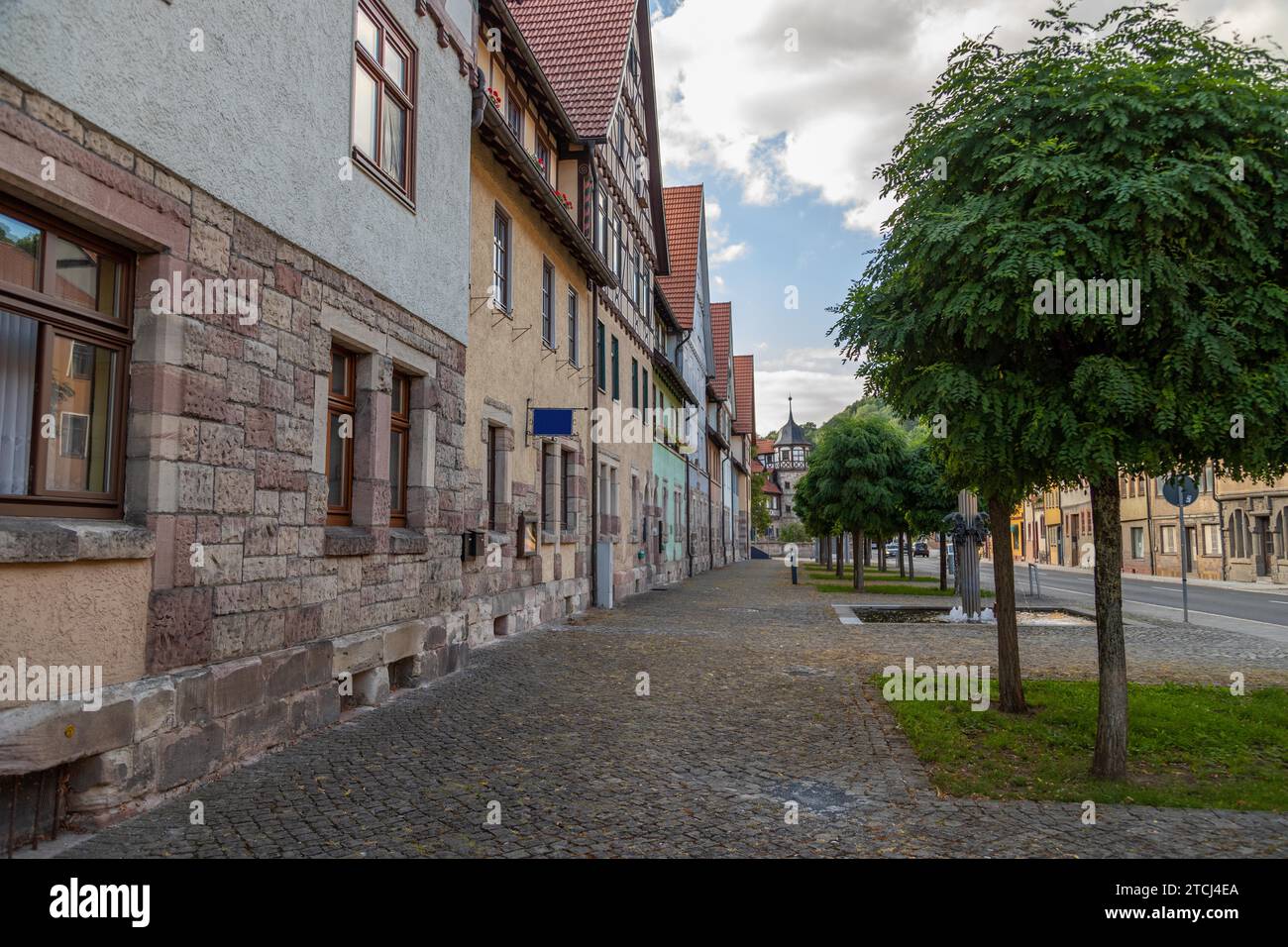 Street with facades of half-timbered houses and trees in Wasungen ...
