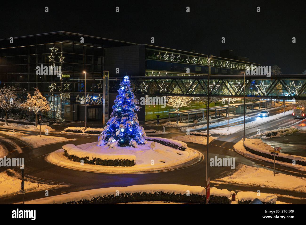 Roundabout tree hi-res stock photography and images - Alamy