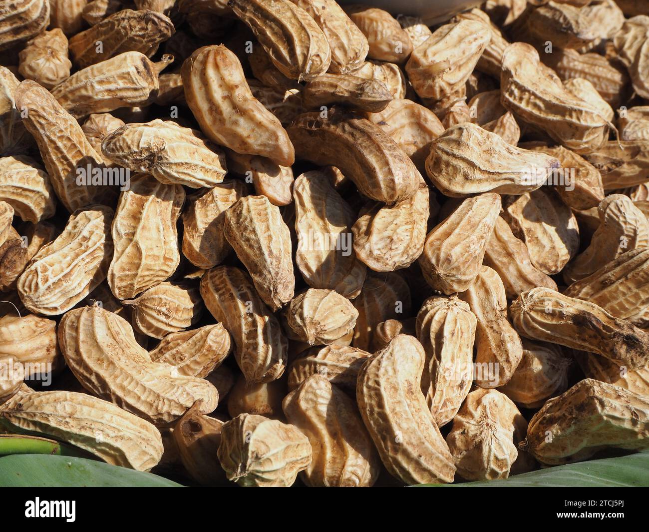 Peanuts in shell hi-res stock photography and images - Alamy