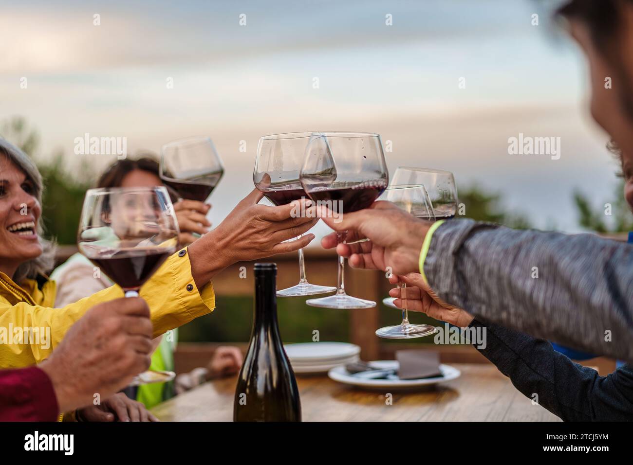 Friends of varying ages share a moment of joy, raising their glasses in ...