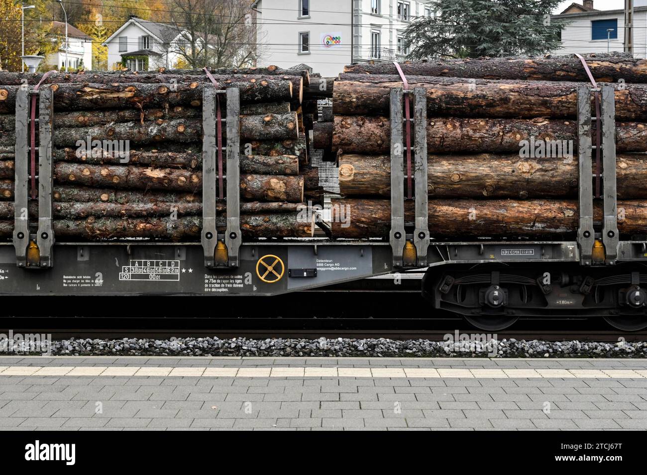 Rail freight transport Round timber SBB Cargo International Stock Photo ...