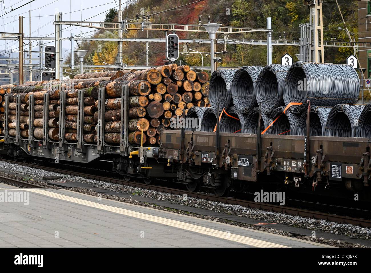Rail freight transport SBB Cargo International Stock Photo - Alamy