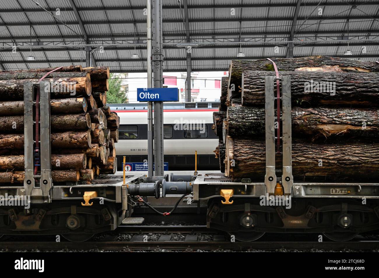 Rail freight transport Round timber SBB Cargo International Stock Photo ...