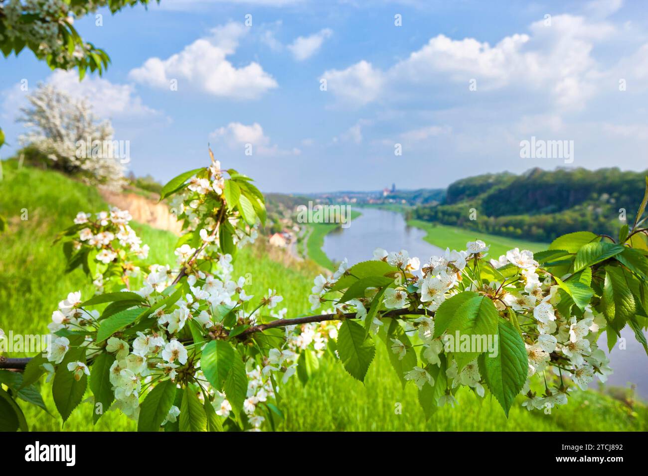 Spring in a carp tavern near Meissen Stock Photo - Alamy