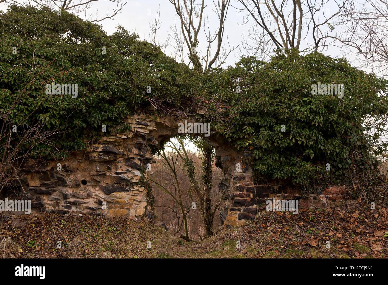 Dohna hi-res stock photography and images - Alamy