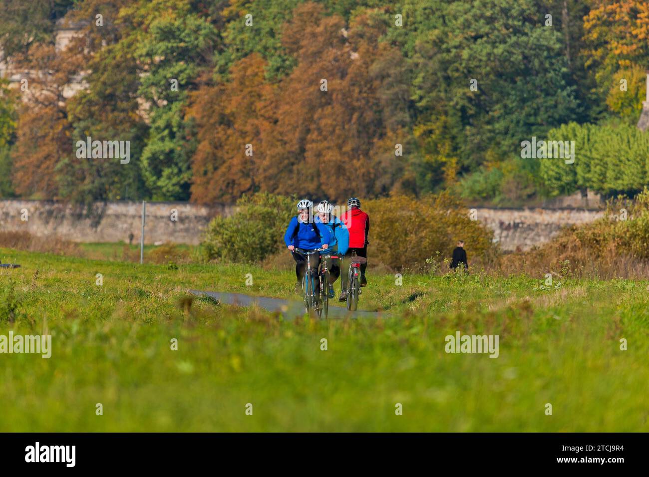 Elbe castles on the Elbe slope Stock Photo - Alamy