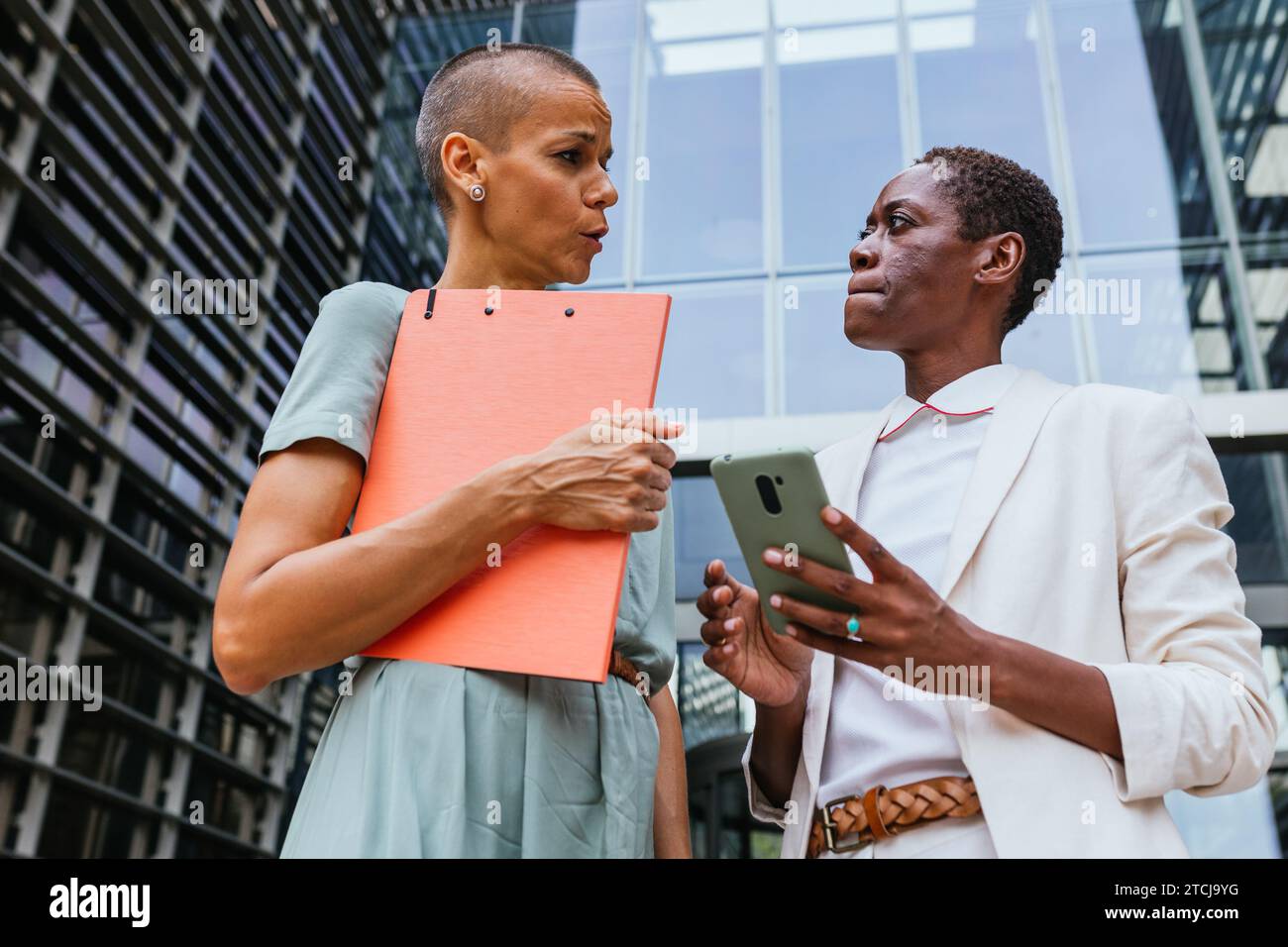 Dedicated Teamwork: Two Professional Women Collaborating in a Corporate ...