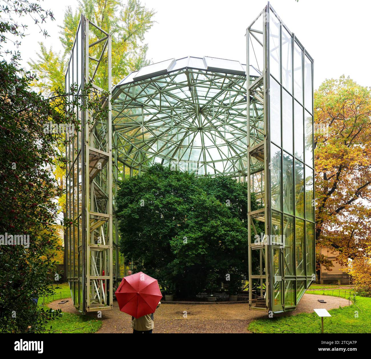 Pillnitz Palace Park Enclosure of the camellia Stock Photo - Alamy