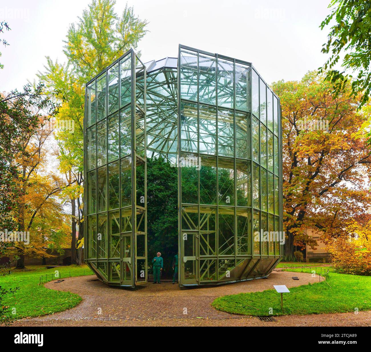 Pillnitz Palace Park Enclosure of the camellia Stock Photo - Alamy
