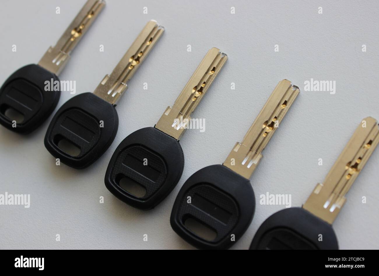 Metal Keys With Black Plastic Heads In A Rows Isolated On White Stock ...