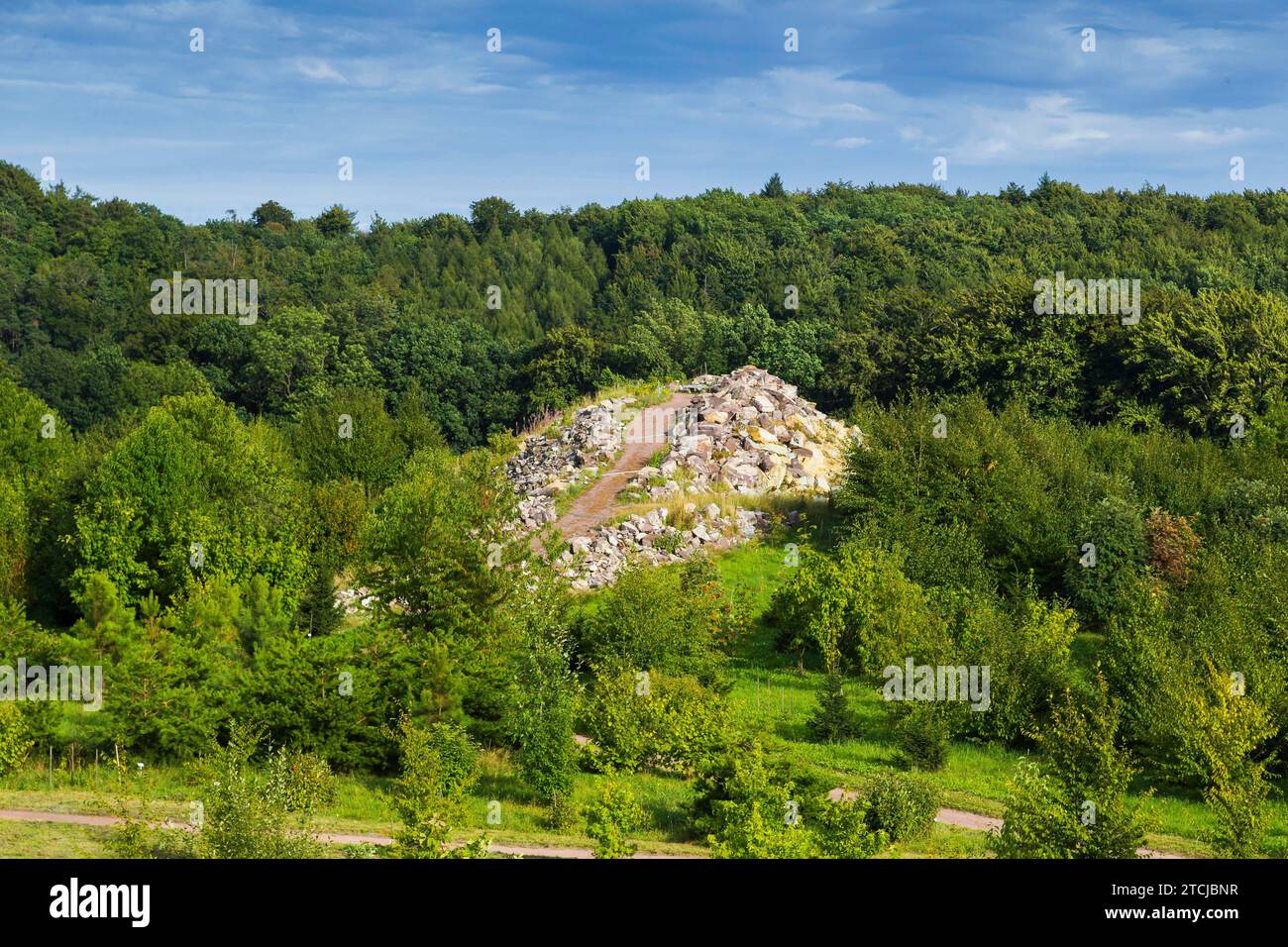 The Forest Botanical Garden Tharandt is an institution of the Technical ...