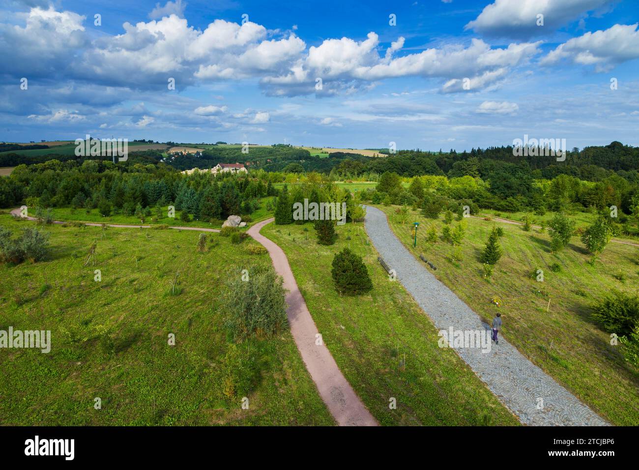Forest botanical garden hi-res stock photography and images - Alamy