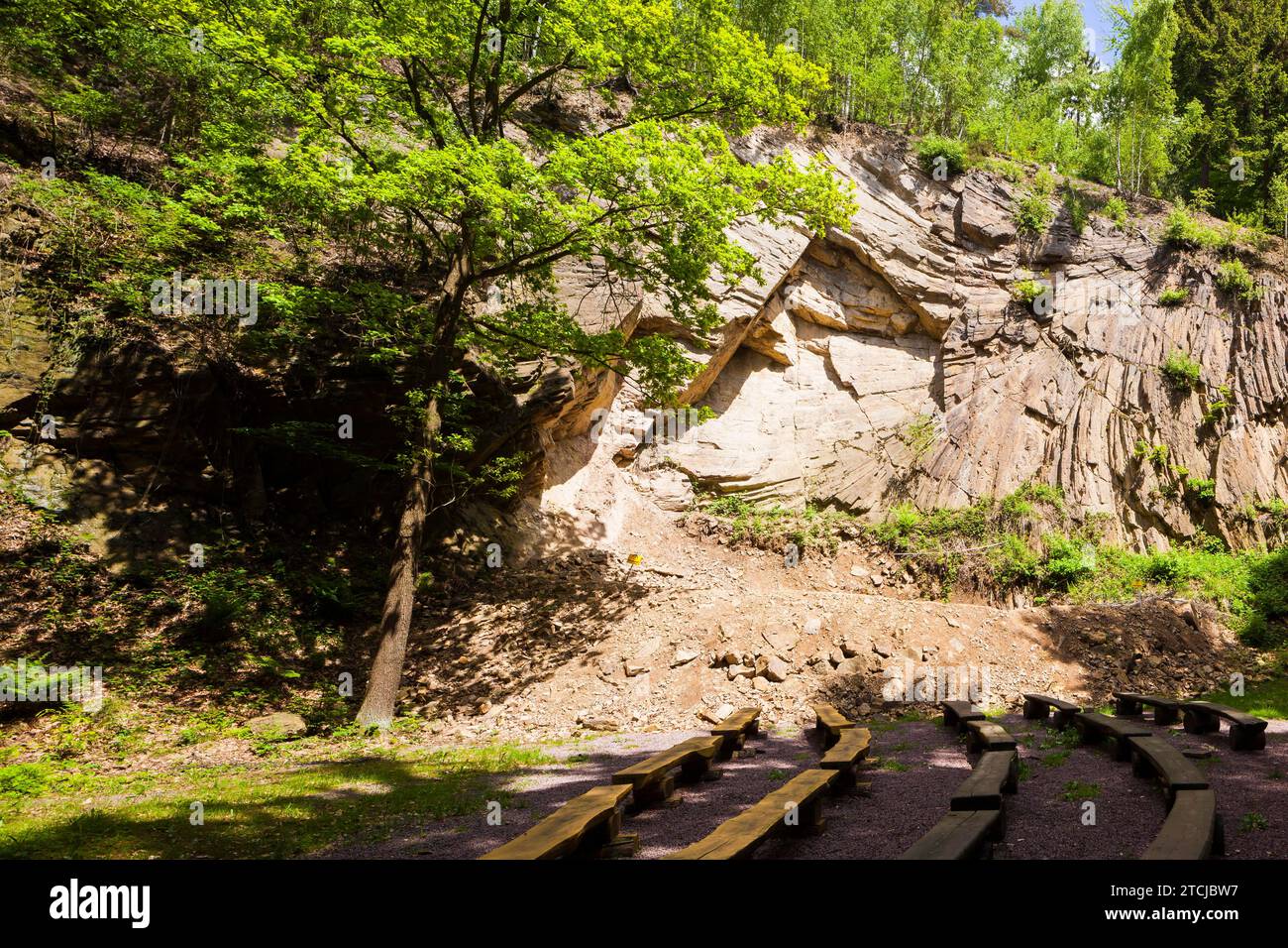 The Tharandt Forest, formerly known as the Grillenburg Forest, is a ...