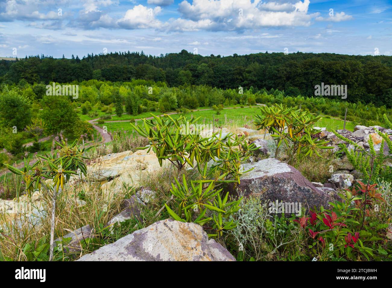 The Forest Botanical Garden Tharandt is an institution of the Technical ...