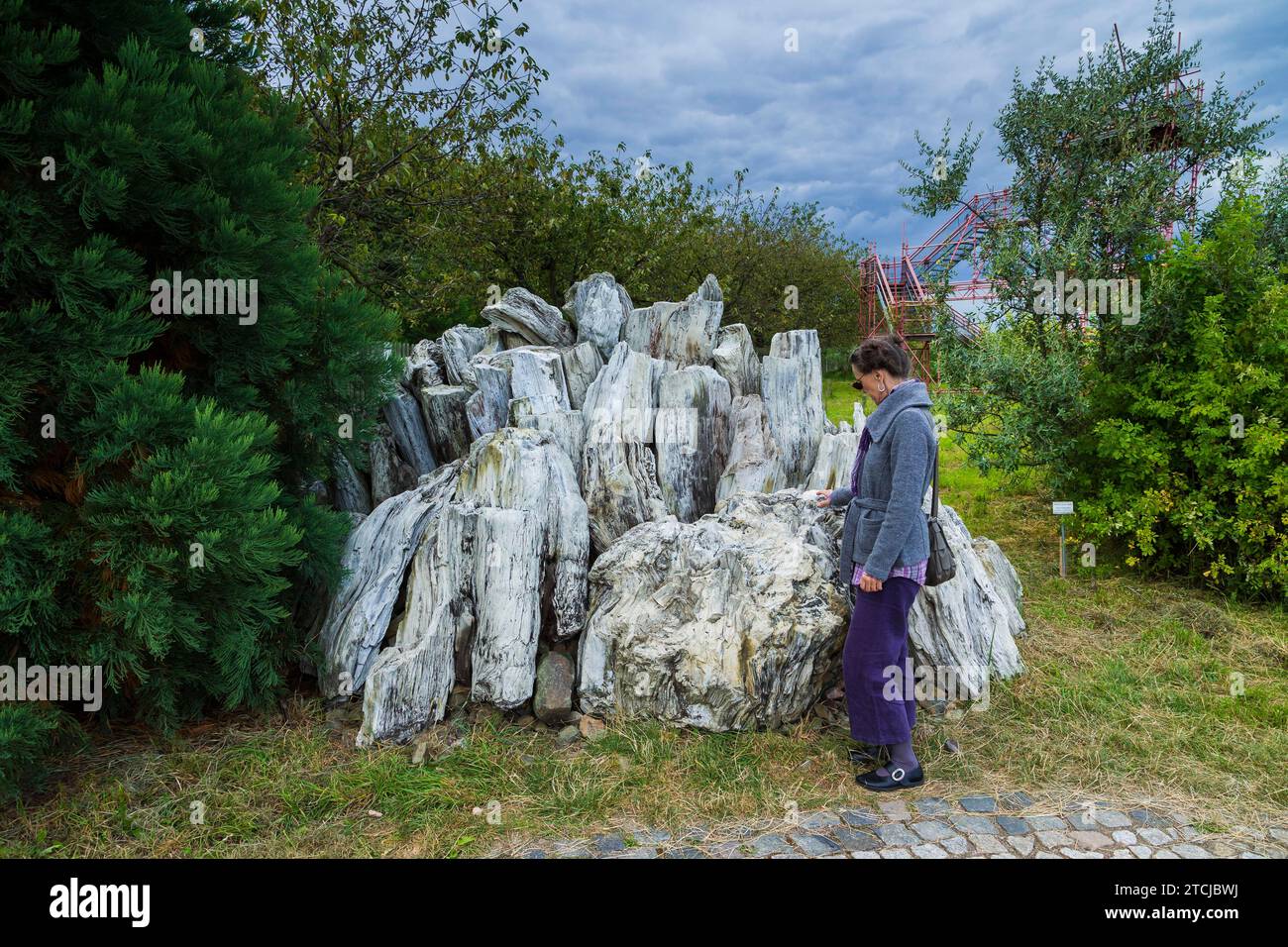 The Forest Botanical Garden Tharandt is an institution of the Technical ...