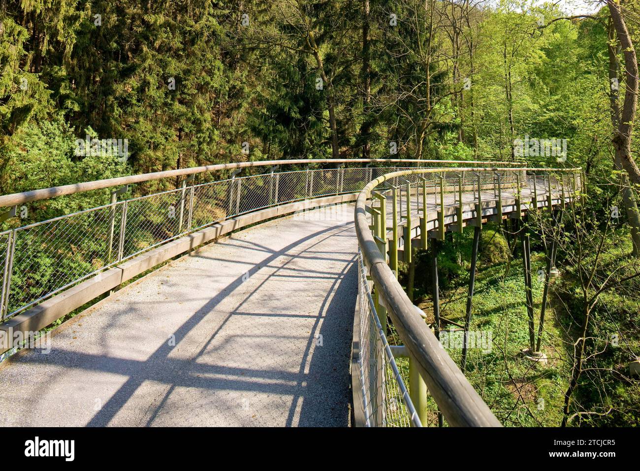 The Forest Botanical Garden Tharandt is an institution of the Technical ...