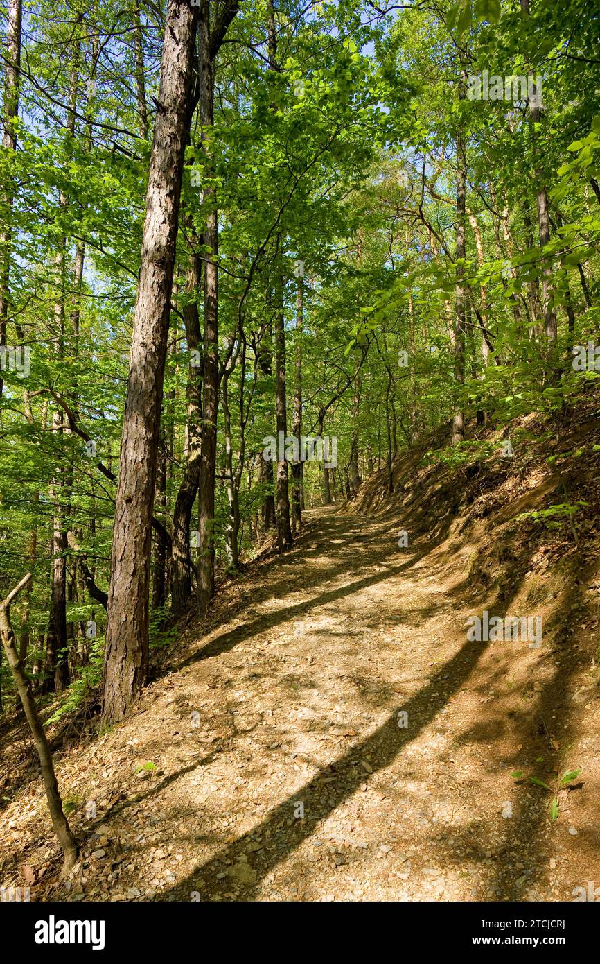 Dresden botanical garden hi-res stock photography and images - Alamy