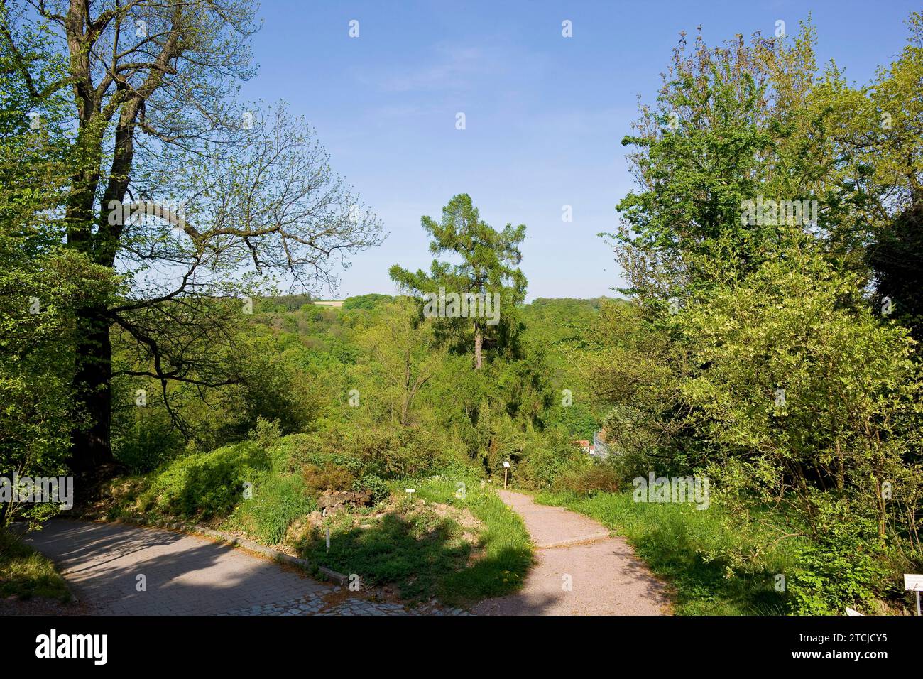 The Forest Botanical Garden Tharandt is an institution of the Technical ...