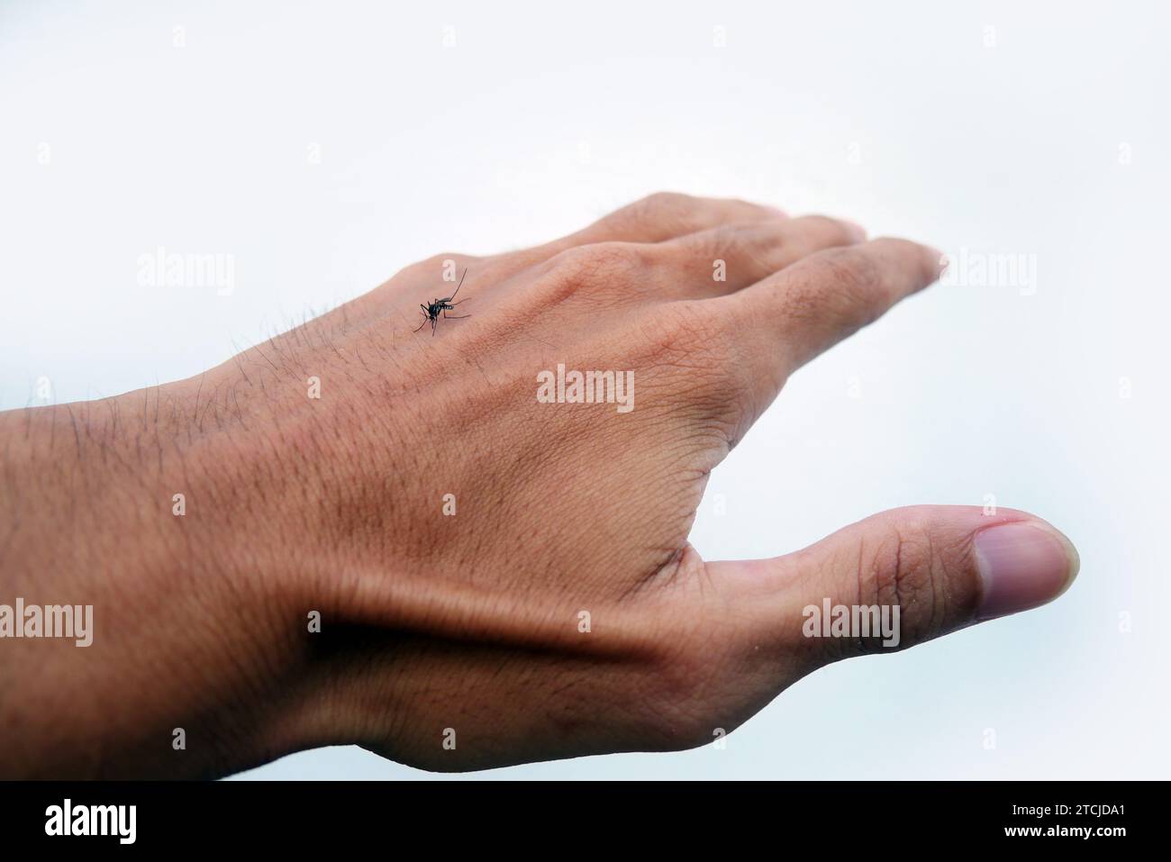 Dengue fever hand hi-res stock photography and images - Alamy
