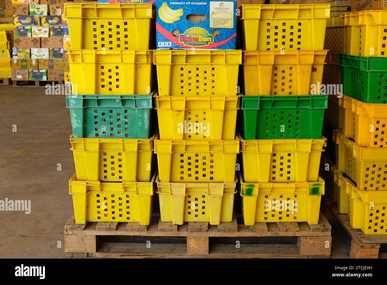 Set of plastic crates storing raw fruits Stock Photo - Alamy