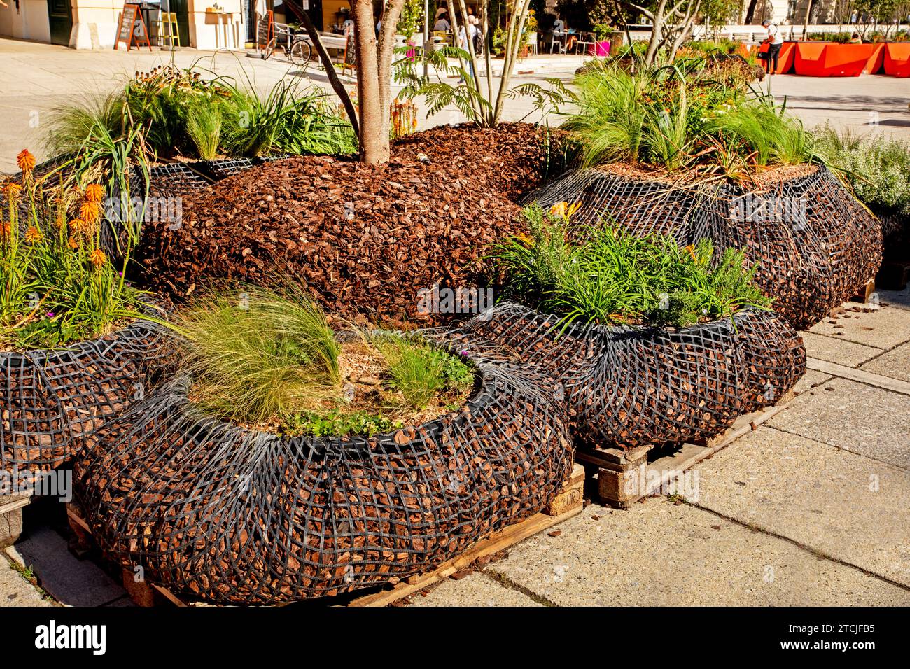 landscape design on the streets in the city from living plants ...
