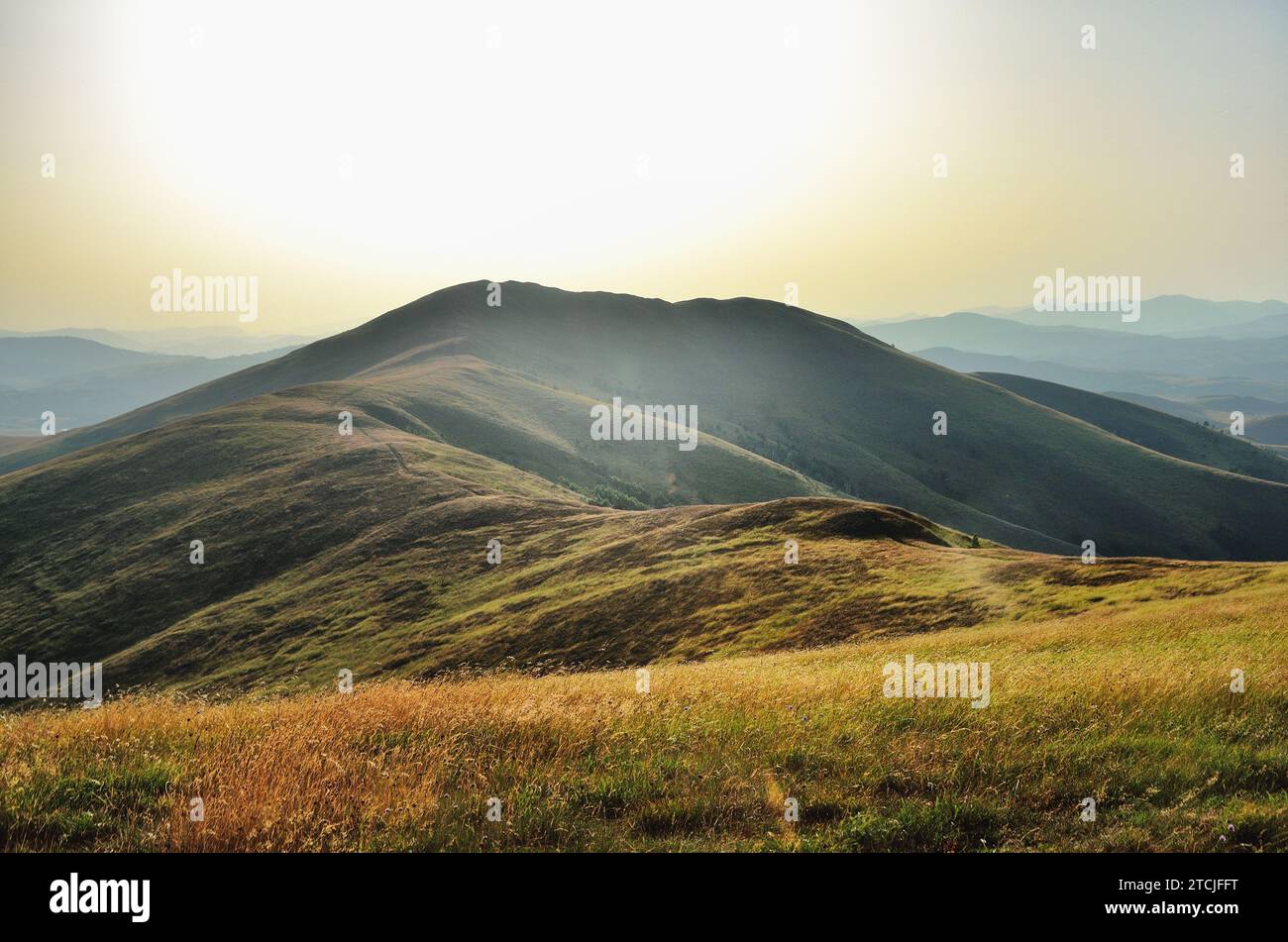 A scenic view of green Zlatibor mountain in Serbia Stock Photo - Alamy