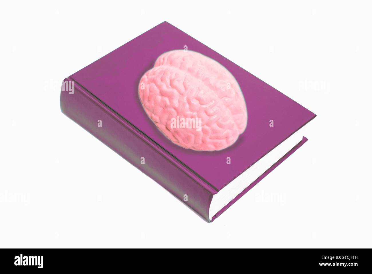 notebook with human brain anatomical model isolated on white background ...