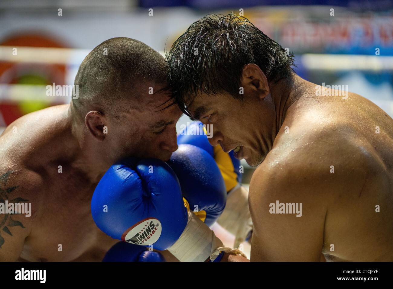 Boxer dies hi-res stock photography and images - Alamy