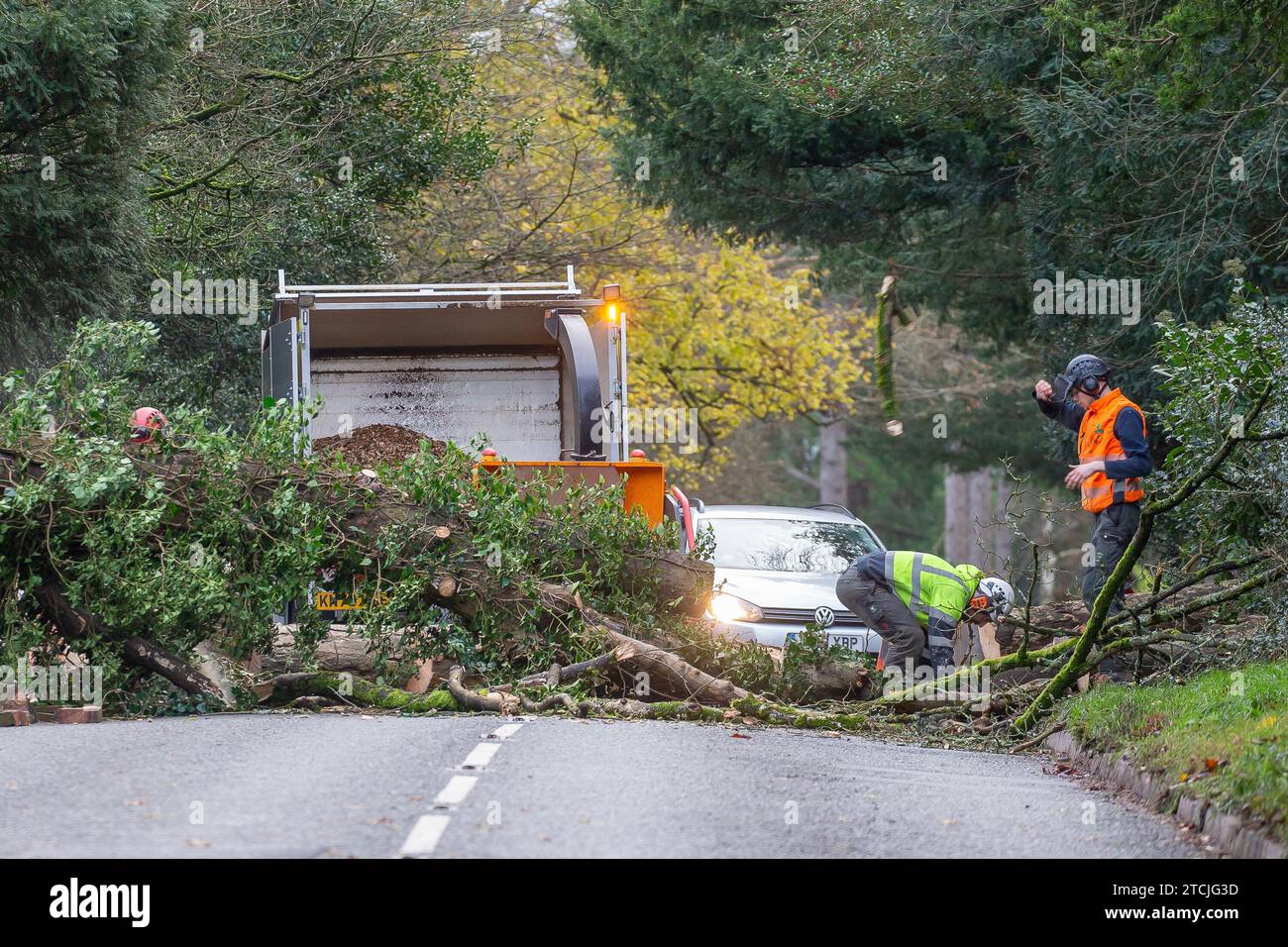 Fallen trees on highway hi-res stock photography and images - Alamy