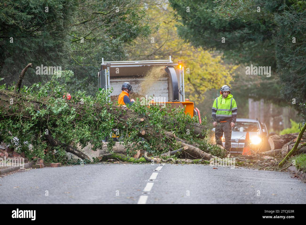 Kidderminster, UK.13th December, 2023. UK weather: a tree surgeon team ...
