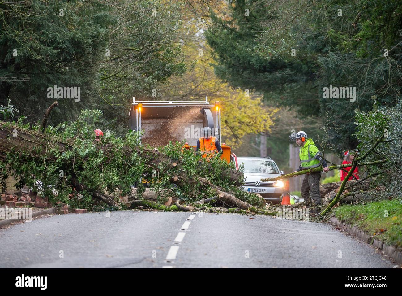 Kidderminster, UK.13th December, 2023. UK weather: a tree surgeon team ...